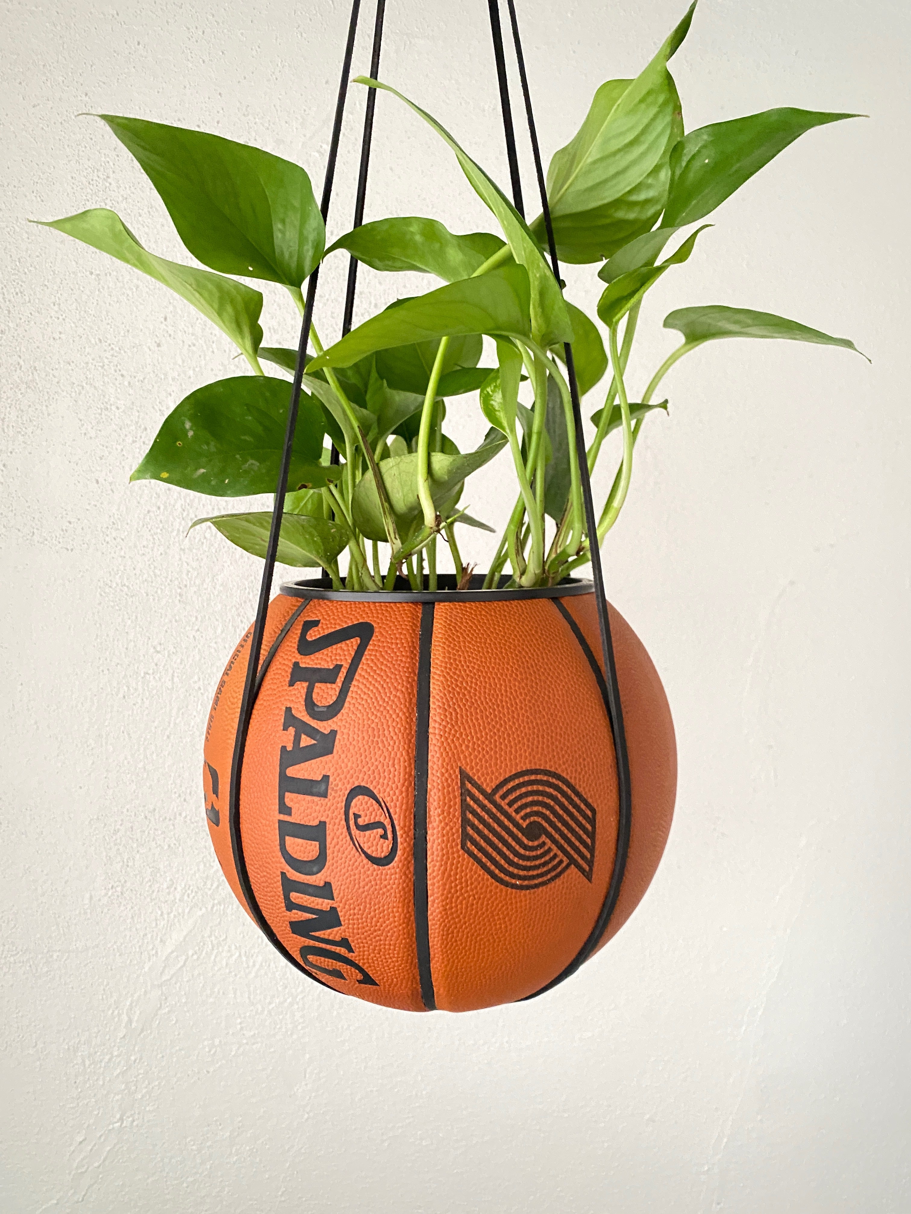 Basketball Planters – Plantsketball